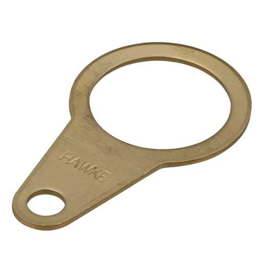 Hawke 25mm / 3/4" Brass Earth Tag (Sold in 1's) (ETM25/ET0.75) | CEF