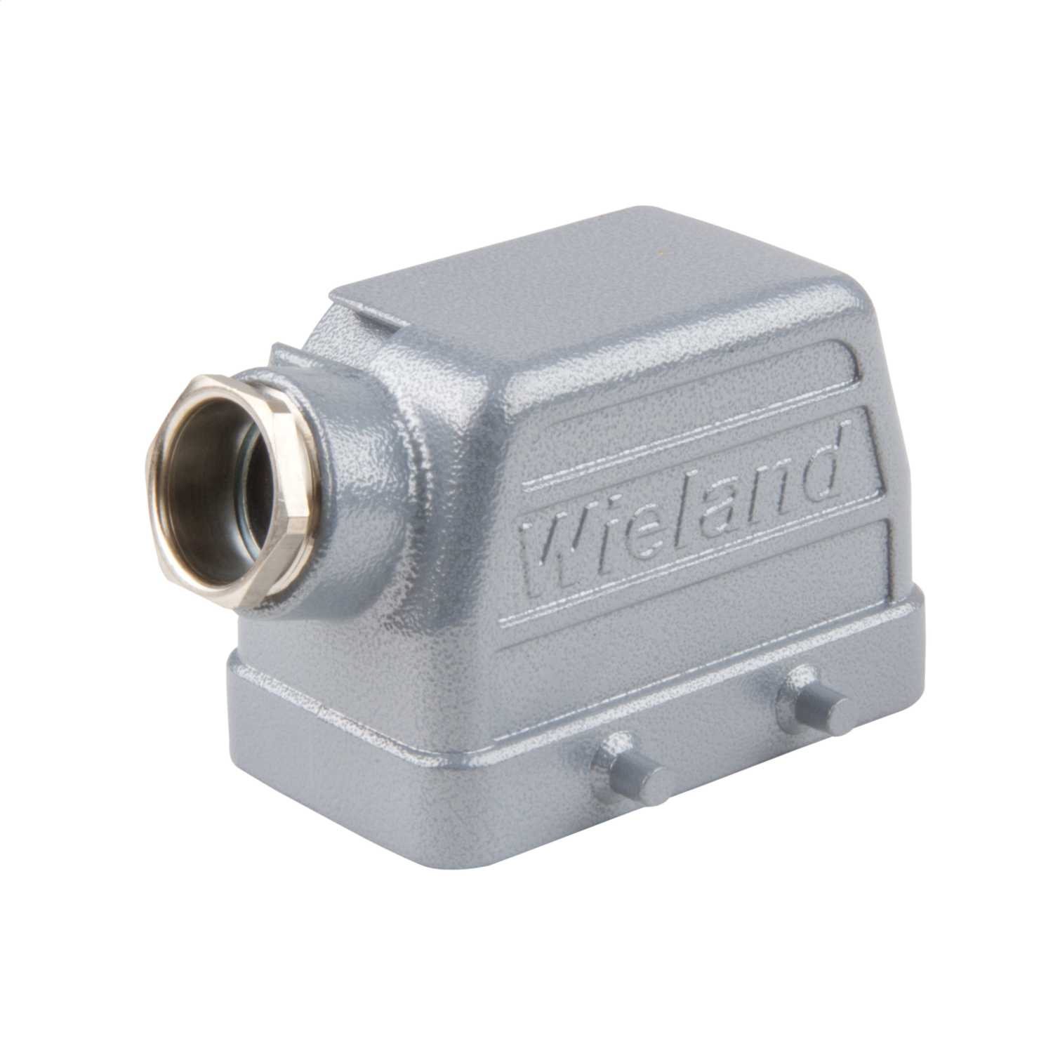 Wieland 16A 10P+E 500V Multipole Connector Hood (10PE16AP) | CEF