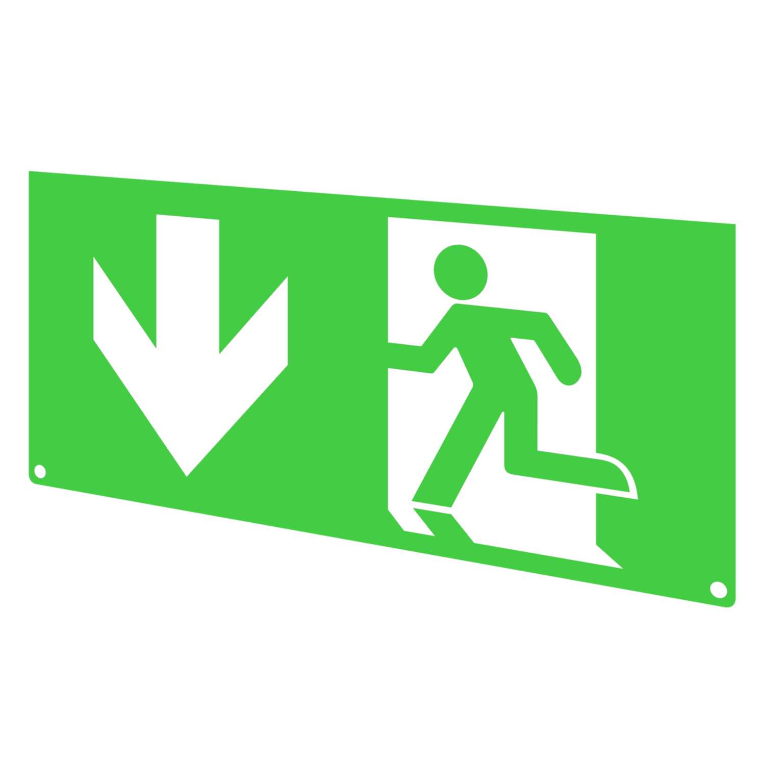Fusion Arrow Down Legends for 5-in-1 Emergency Exit Sign (FE3/5IN1AD) | CEF