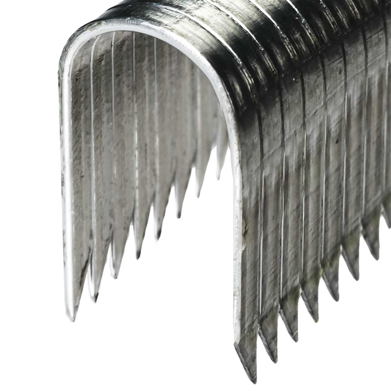 Challenger 7.7 x 14mm Staples for use with AG02 Staple Gun (Box of 1000 ...