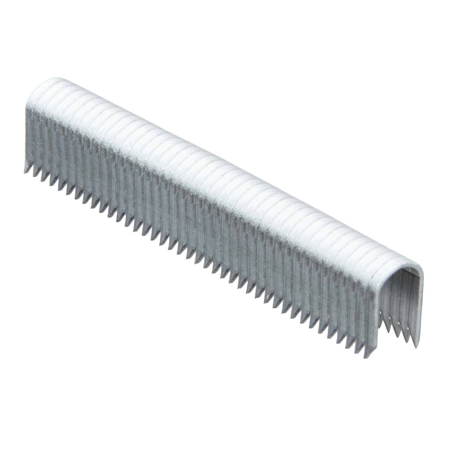 CK 4.8 x 10mm Staples for T6228 Staple Gun (Box of 1000) (495024) | CEF