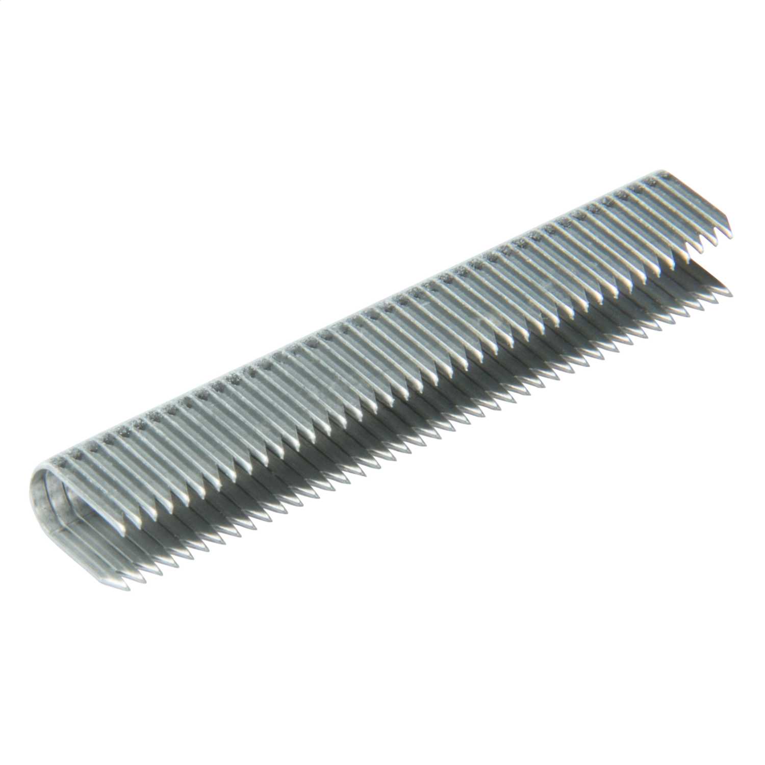 CK 4.8 x 10mm Staples for T6228 Staple Gun (Box of 1000) (495024) | CEF