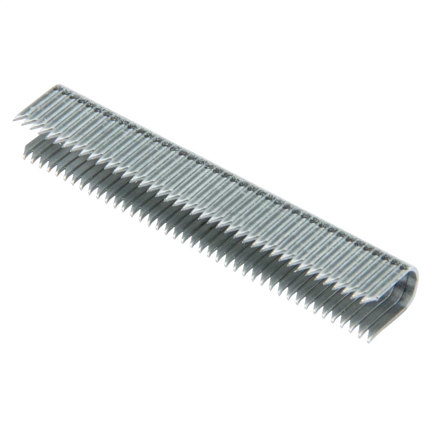 CK 4.8 x 10mm Staples for T6228 Staple Gun (Box of 1000) (495024) | CEF