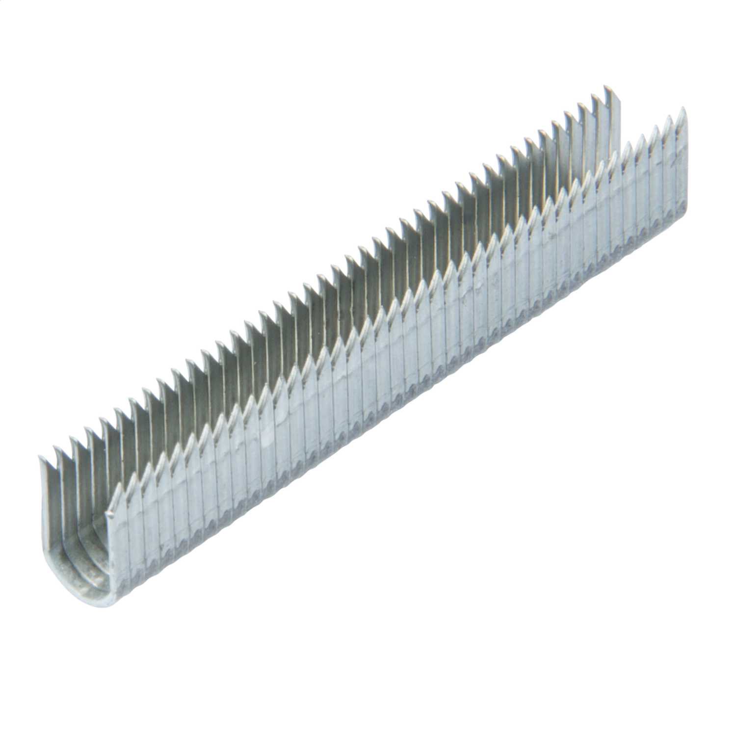 CK 4.8 x 10mm Staples for T6228 Staple Gun (Box of 1000) (495024) | CEF