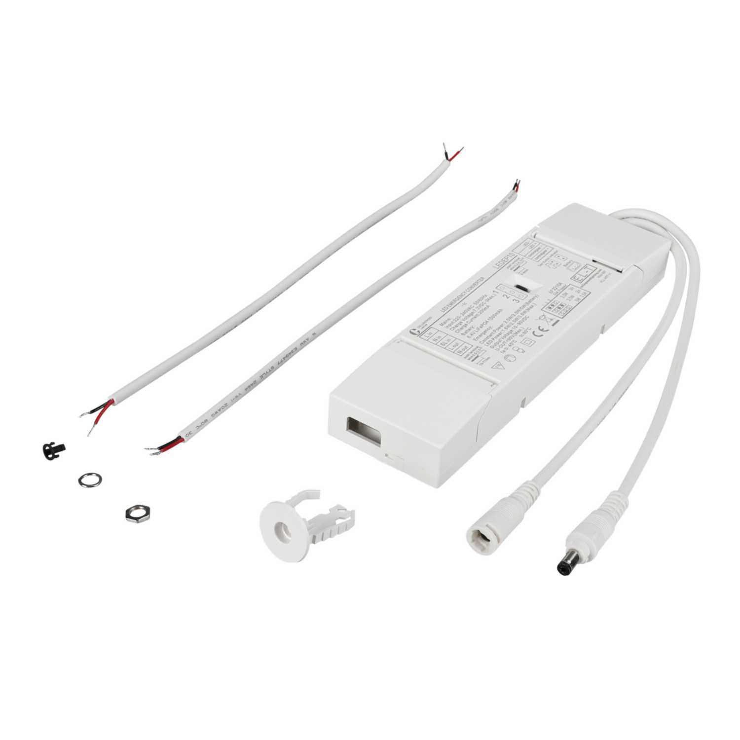 Collingwood Emergency Converter with Self Test (LEDEP10) | CEF