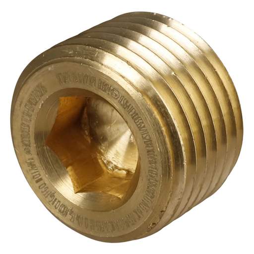 Crouse-Hinds CEAG 1/2" NPT EXE / EXD Brass Stopping Plug (PAU102900) | CEF