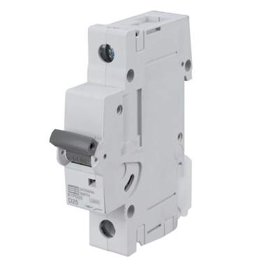 Dorman Smith 25A Single Pole 10kA D Curve MCB (K1PD25) | CEF