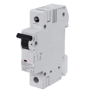 Dorman Smith 40A Single Pole 6kA / 10kA Type D MCB (T1PD40) | CEF