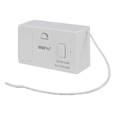 Enerj ECO Range 1A Dimmable RF Receiver (WS1079X) | CEF