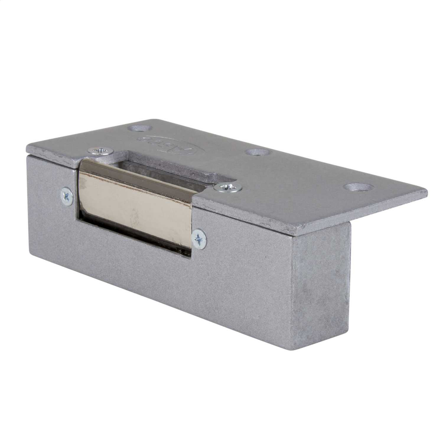 ESP Electromagnetic Lock (ENTERD-YLR) | CEF