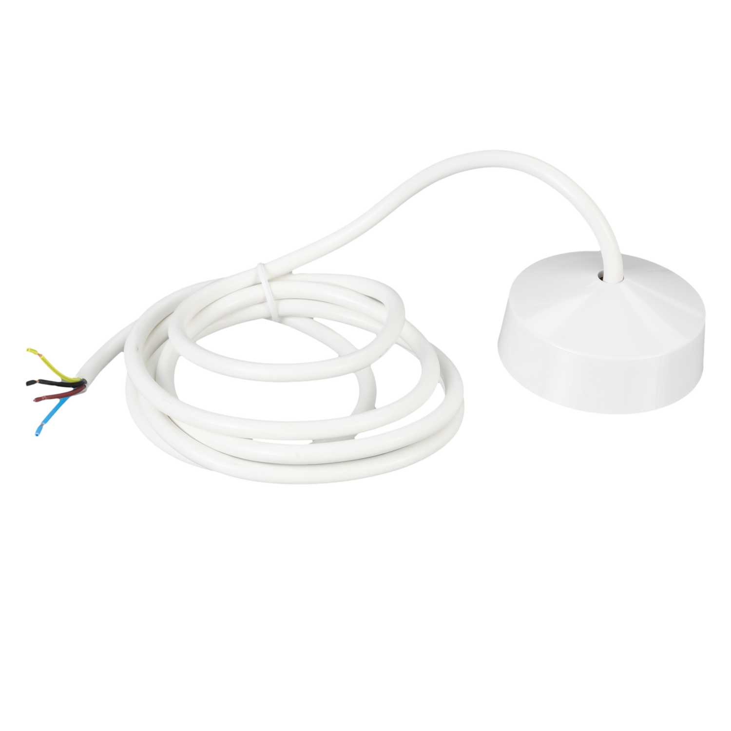 Eterna 6A 4 Pin Pre-Wired Plug-In Ceiling Rose with 2m Cable White ...