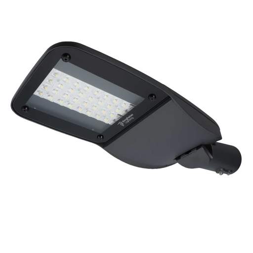 Kingfisher Lighting Viva City Pro 20W - 100W LED Adjustable Street ...