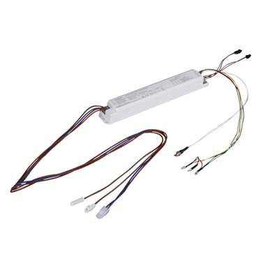 Robus Linear Fitting 2W 3 Hour Dual Test Emergency Pack (RLEMPKDT-PSU ...