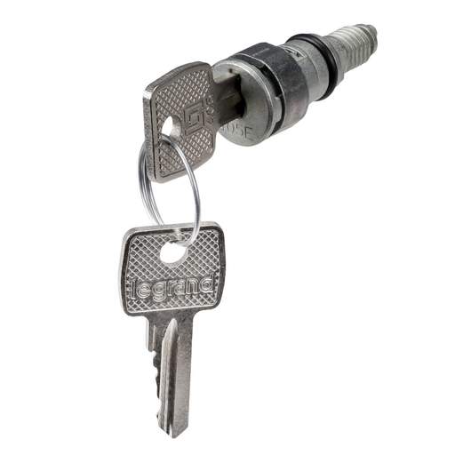 Legrand 405 Key Barrel with 2 Keys (036822) | CEF