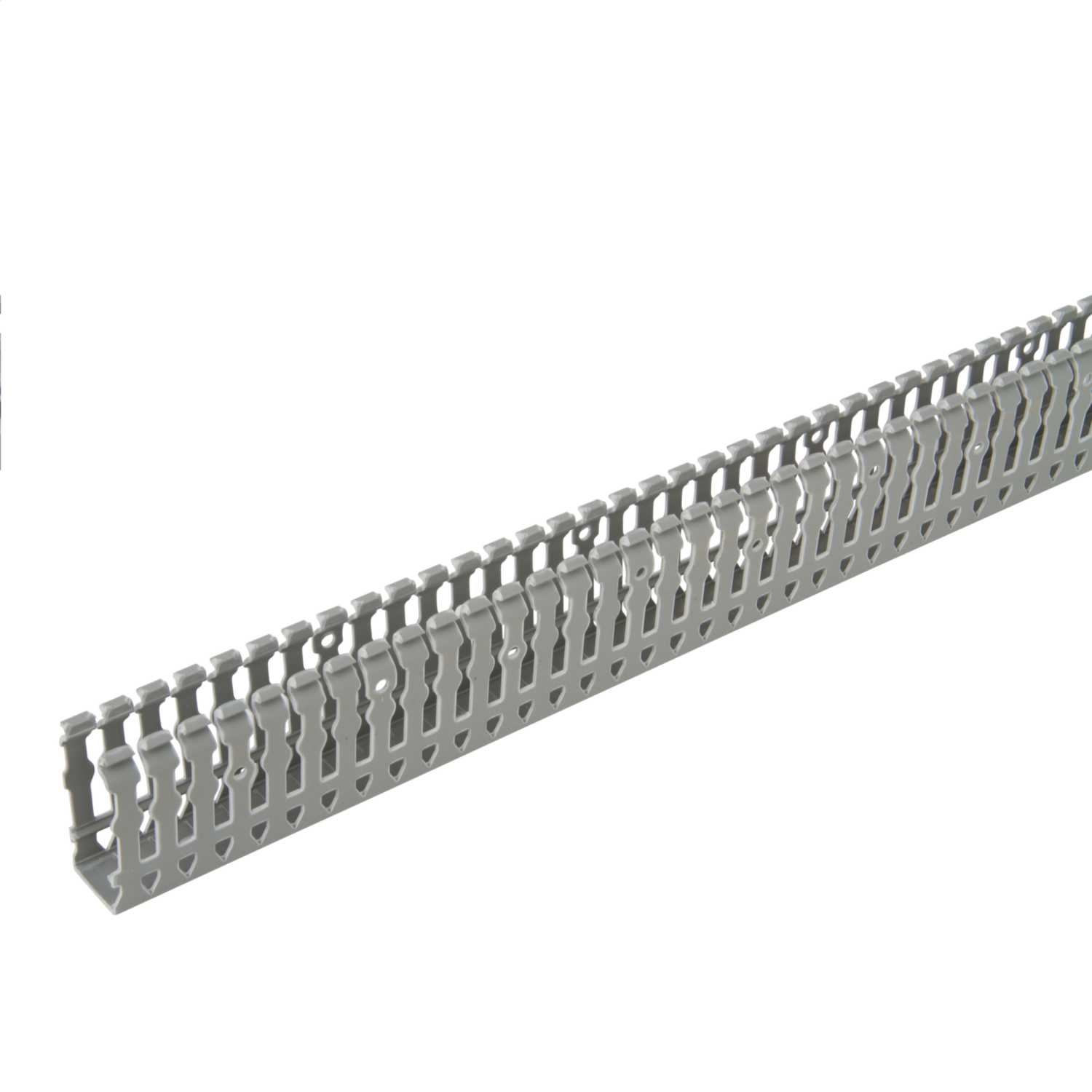 Legrand 25mm x 60mm Open Slotted Panel Trunking (2m Length) (636102) | CEF