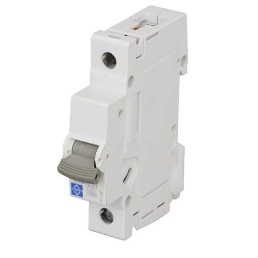 Lewden 20A Single Pole 10kA D Curve MCB (E10-1D20) | CEF