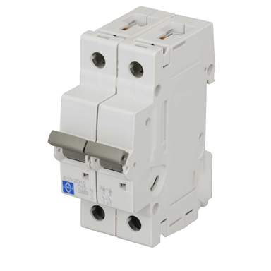 Lewden 10A Double Pole 10kA D Curve MCB (E10-2D10) | CEF