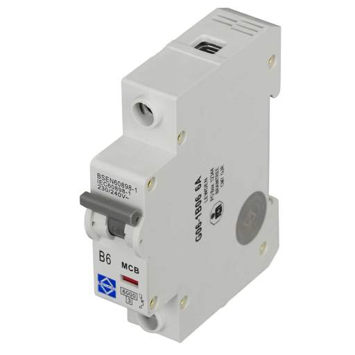 Lewden 6A Single Pole 6kA B Curve MCB (G06-1B06) | CEF