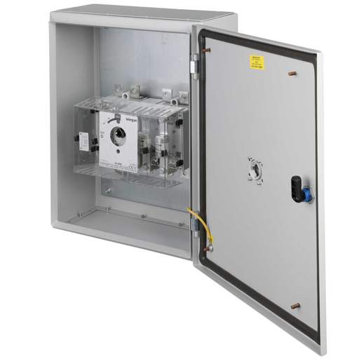 MCG 250A TP+N Metal Switch Fuse (MCGSF250TPN) | CEF