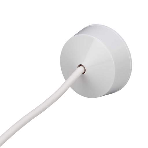 Olson 6A 4 Pin Prewired Plug-In Ceiling Rose with 2m LSF Cable White ...