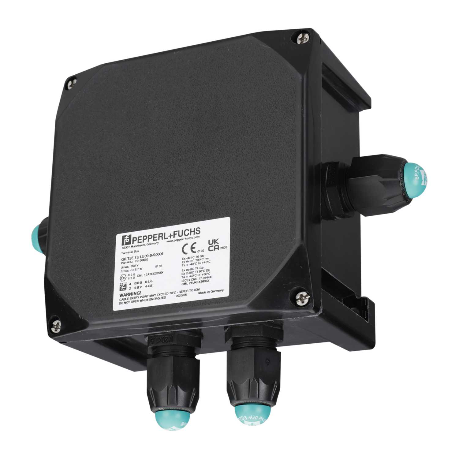Pepperl & Fuchs Zone 1 Ex Junction Box with 9 x UT2.5 Terminals GRP ...