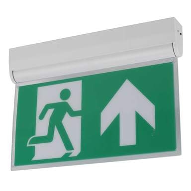 Philips PROF EM 1W Emergency Exit Blade with Up Arrow Legend ...