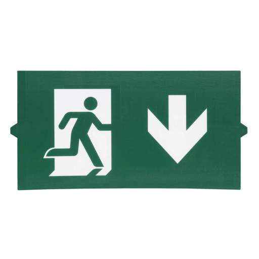 Ecolink Exit Box Legend Down Arrow (ECO-EX-W-LG-D) | CEF