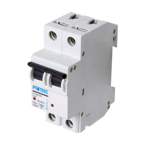 Proteus 40A Double Pole 10kA C Curve MCB (21040/3) | CEF