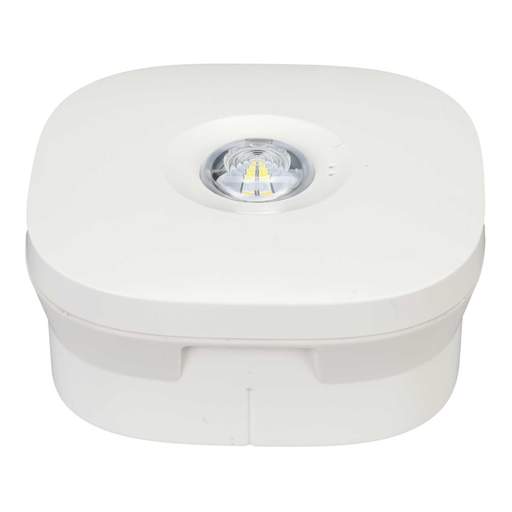 Tamlite 2W LED Surface Mounted Emergency Downlight (ELSSNM3) | CEF