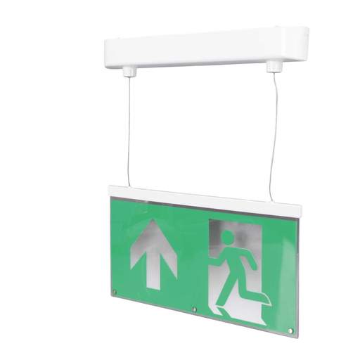 Xcite 2W LED Emergency Drop Light with Self Test (XCDLAM3ST) | CEF