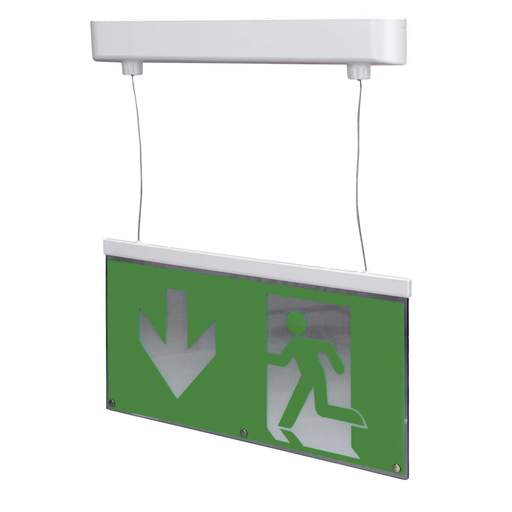 Xcite 2W LED Emergency Droplight with Down Arrow Legend and Self Test ...