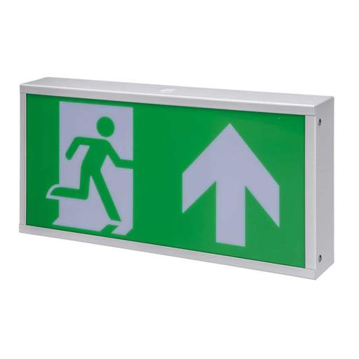 Xcite 2W LED Maintained Emergency Exit Box with Self Test (XCEBAM3ST) | CEF