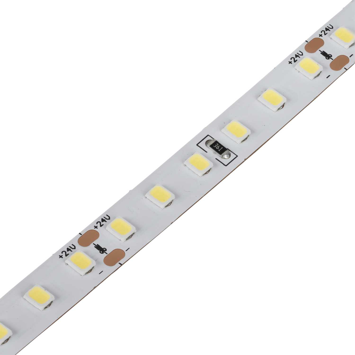 Xcite 24V LED Strip Light IP20 6000K (50m Reel) (XCSR2420DL) | CEF