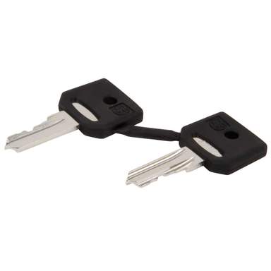 Schneider Harmony Ronis 421E Spare Keys (Set of 2) (ZBG421E) | CEF