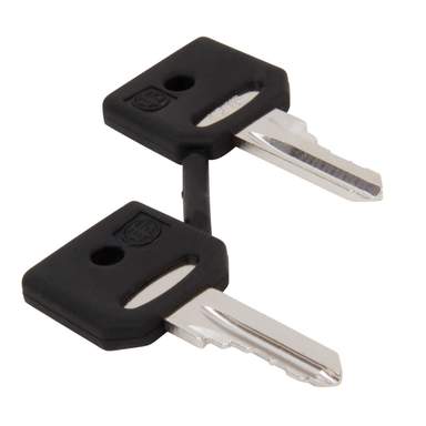Schneider Telemecanique Ronis 421E Spare Keys (Set of 2) (ZBG421E) | CEF