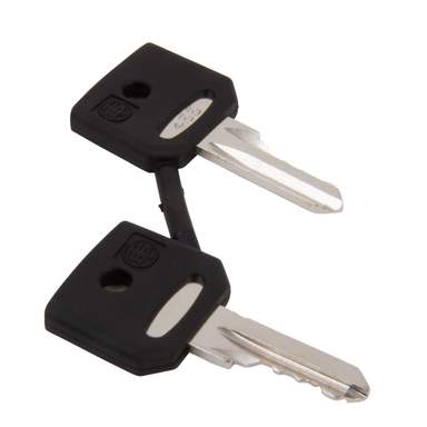 Schneider Telemecanique Ronis 455 Spare Keys (Set of 2) (ZBG455) | CEF