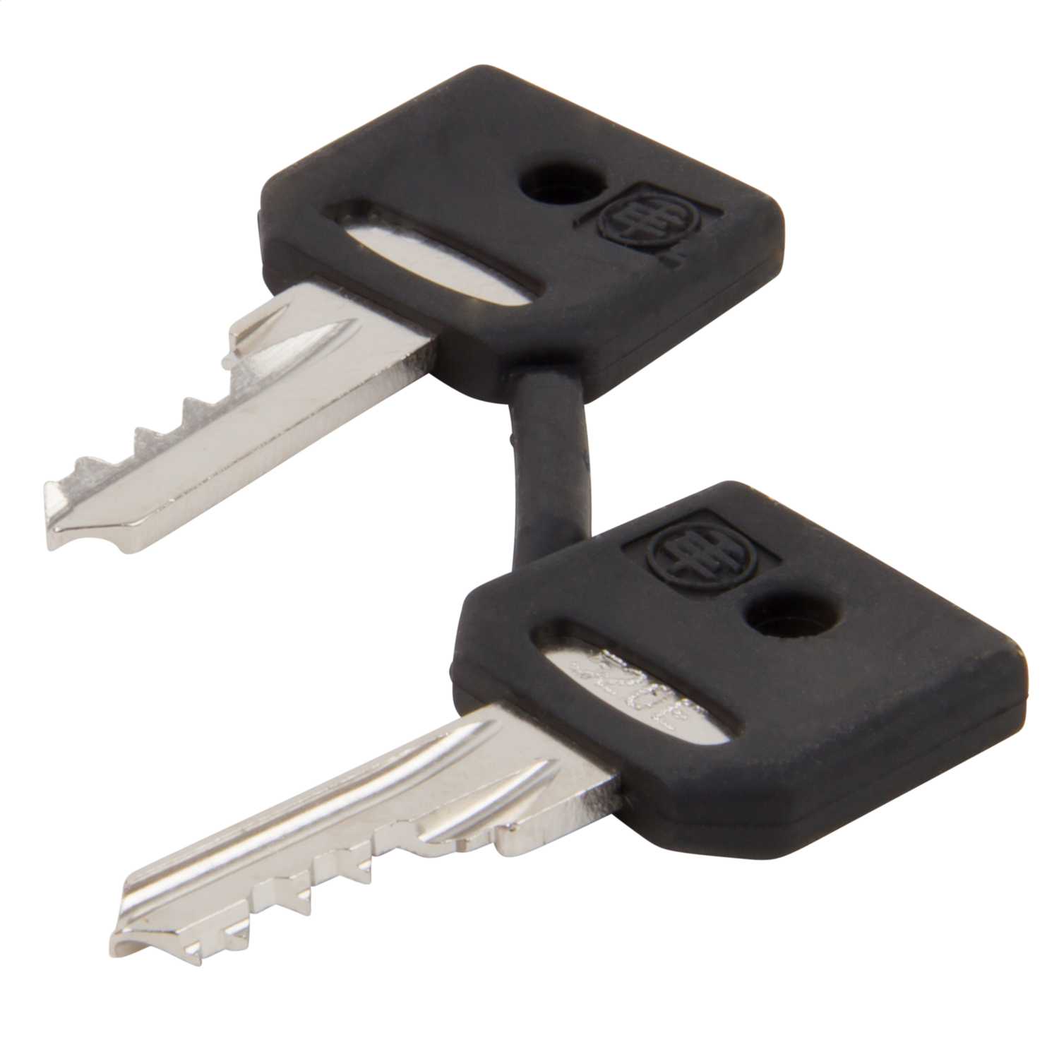 Schneider Telemecanique Ronis 520E Spare Keys (Set of 2) (ZBG520E) | CEF