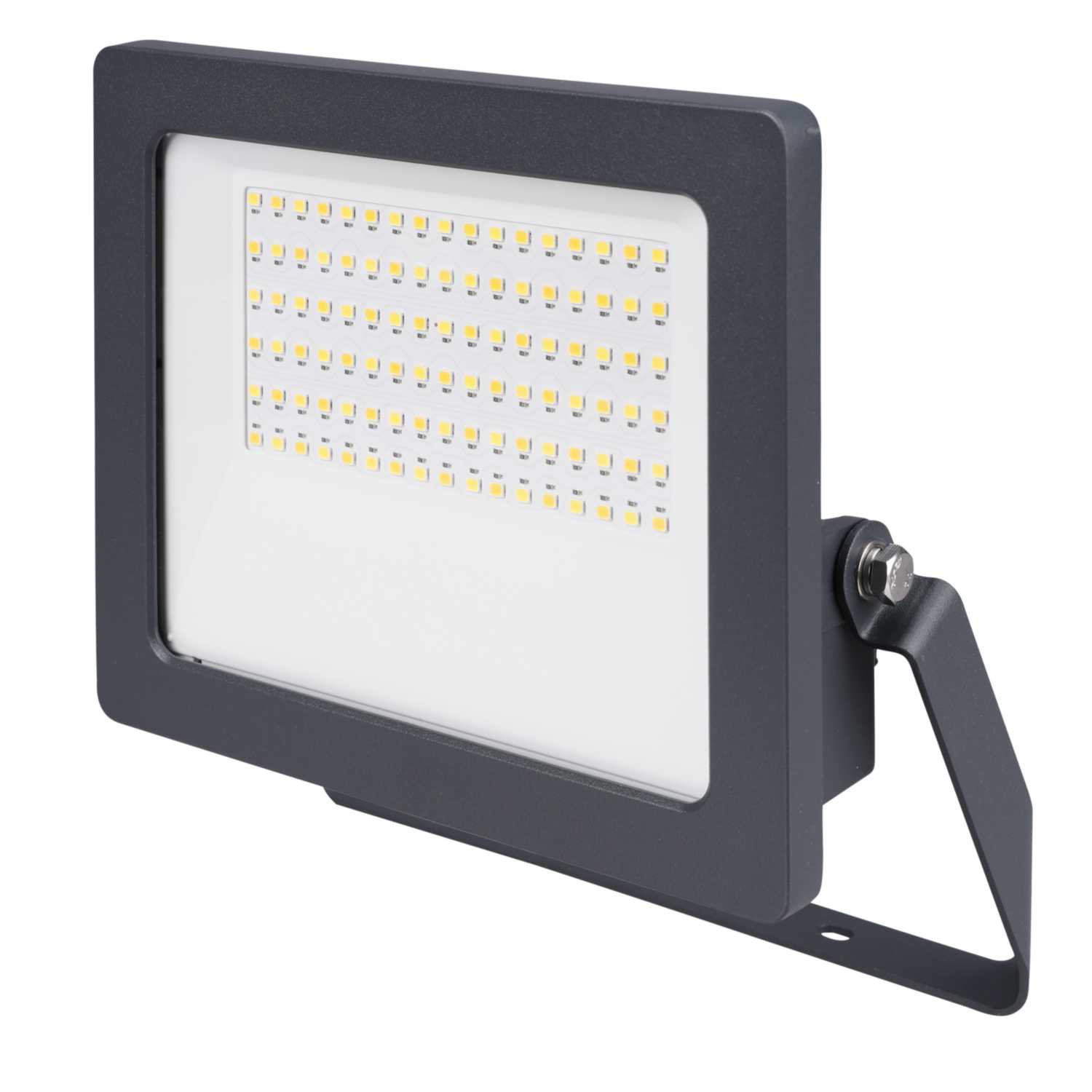 Thorn LEONIE VARIO Flex 40W LED Tri-Colour Floodlight Black (96635647 ...